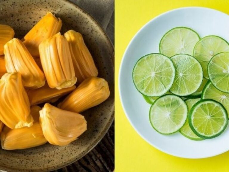 Cách bảo quản mít trong tủ lạnh và những điều cần biết - Điện Máy Bảo Minh